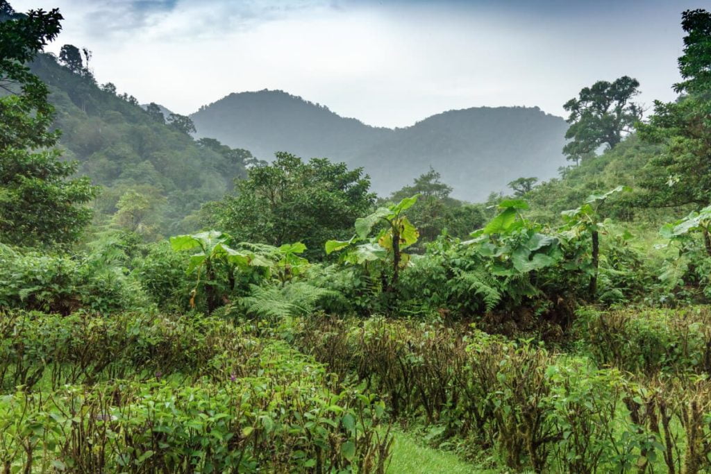 Guanacaste National Park