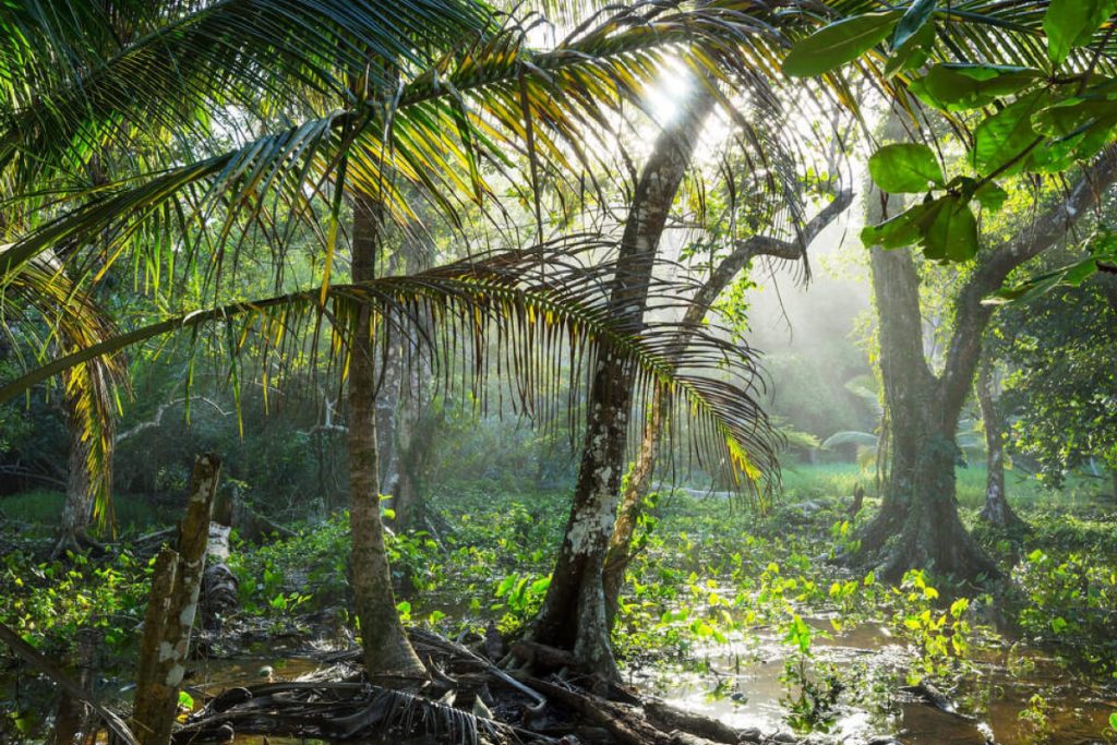 Guanacaste National Park
